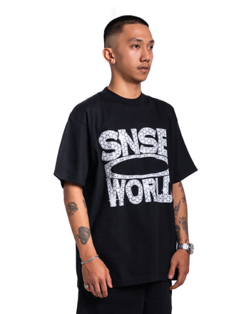 SNSB WORLD